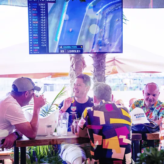 T1 Enclosure | Silverstone